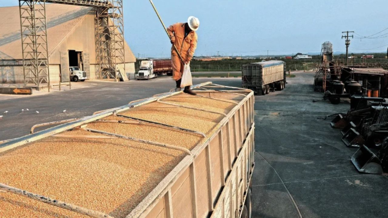 Paraguay experimenta un importante crecimiento en las exportaciones de ...