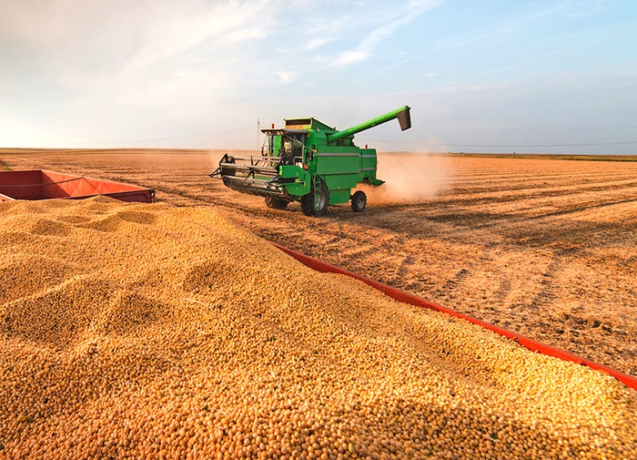 Cosecha de soja en el país avanza con rendimientos promedios de 2.740 ...