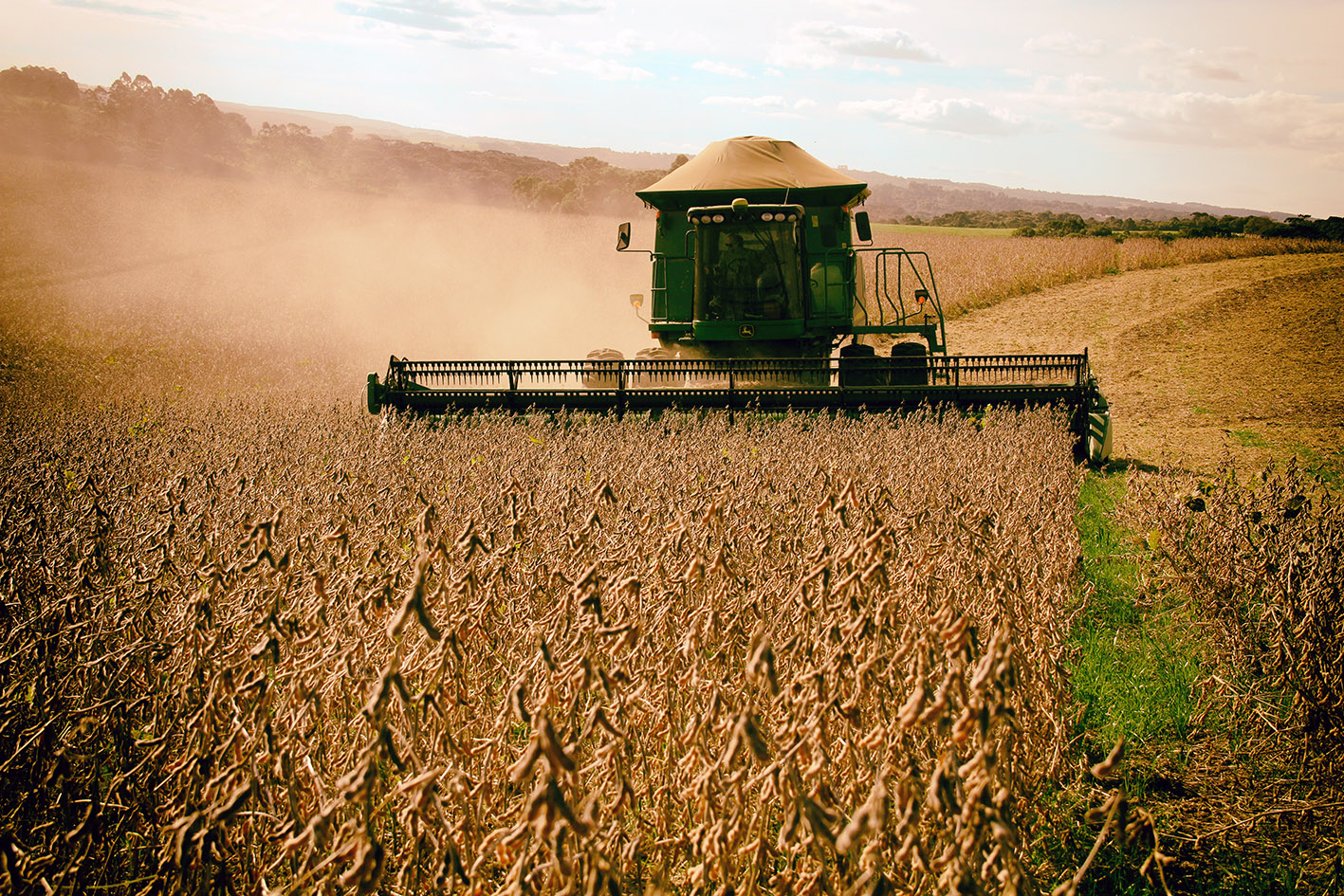 Conab recortó la estimación de producción de soja de Brasil a 146,8 ...