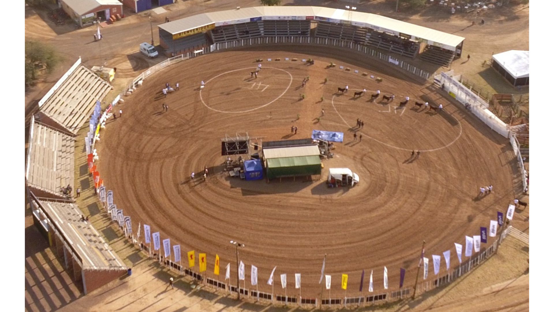Expo Rodeo Trébol: Una plataforma que une la oferta y la demanda