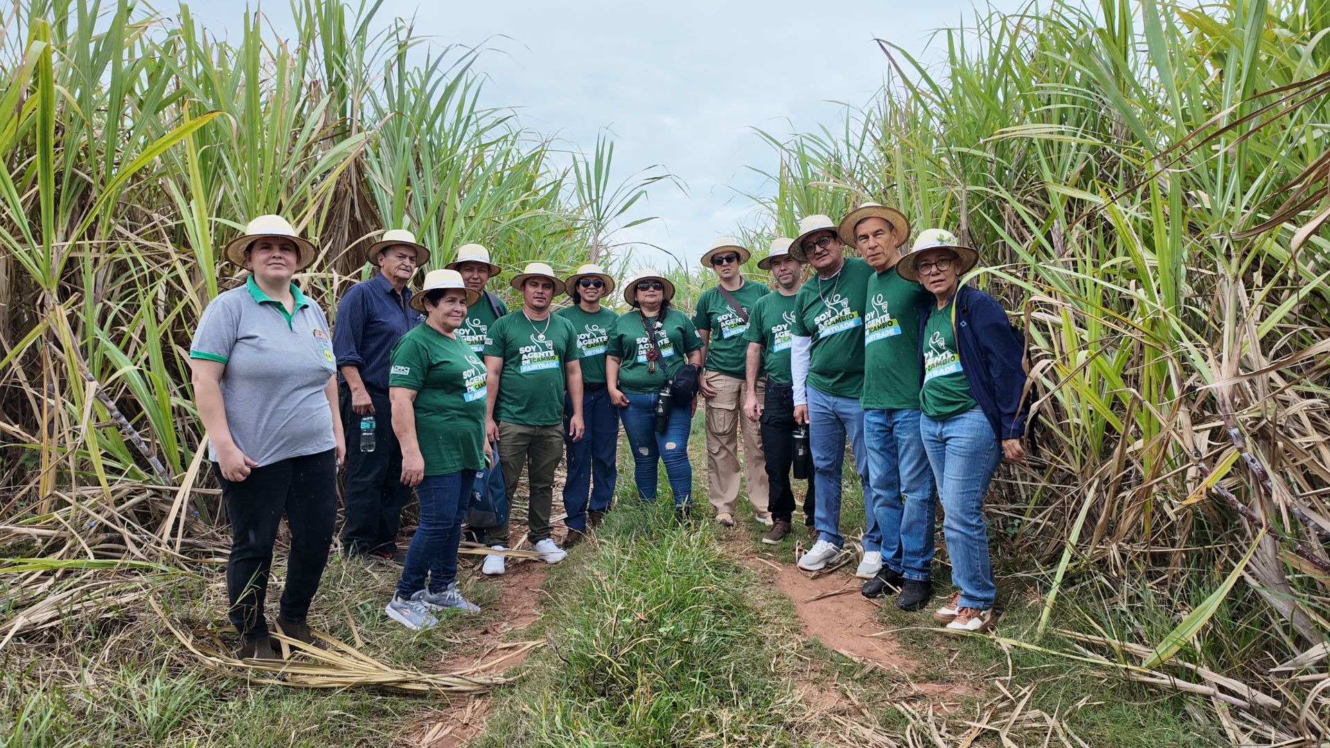 Paraguay, líder mundial en azúcar orgánica, espera la aprobación de la ...